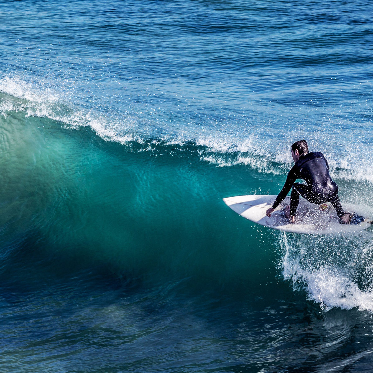 Surfboard Storage | Freestanding Surf Rack – StoreYourBoard